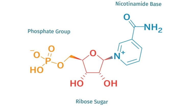 David Sinclair's Anti-Aging Supplement List 2022 - Food Security